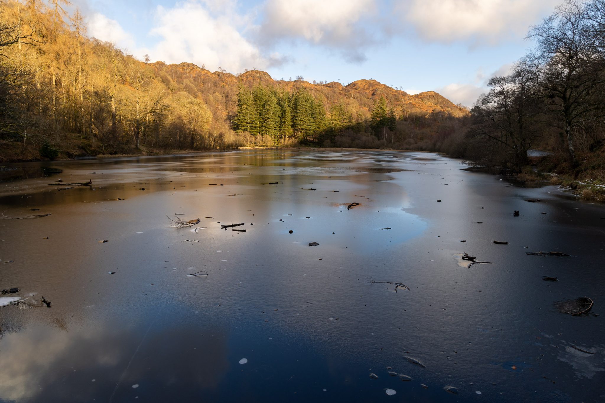 Holme Fell, Black Fell & Tarn Hows