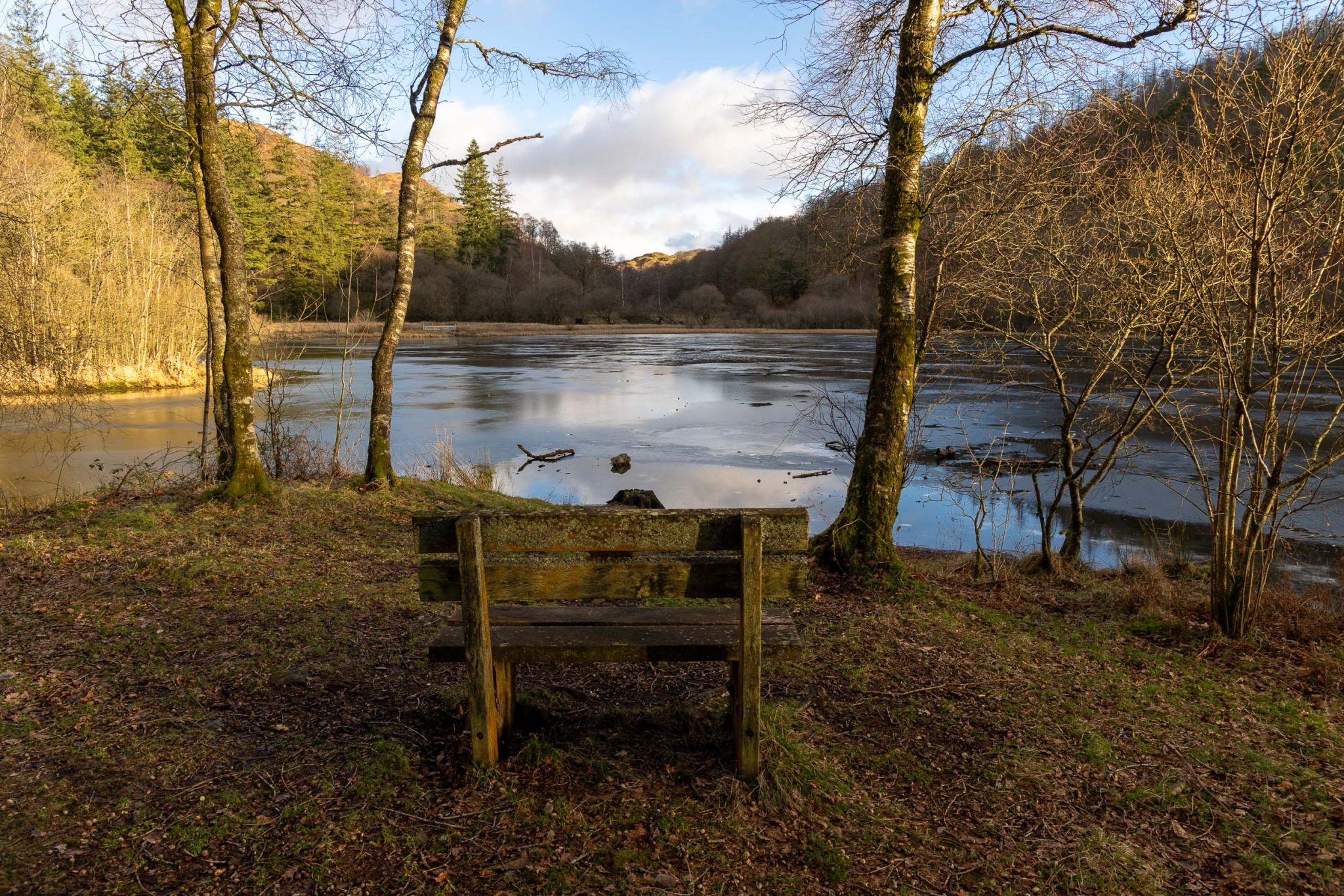 Holme Fell, Black Fell & Tarn Hows